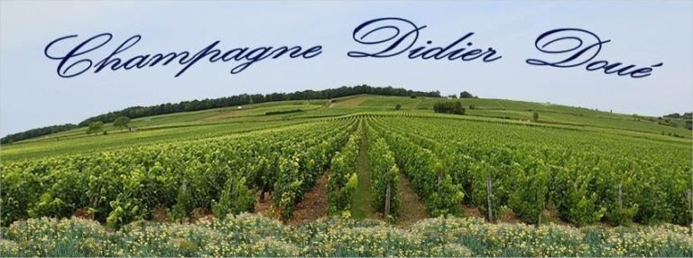 Champagne Didier Doué | Oenotourisme en Champagne - Tourisme et vins